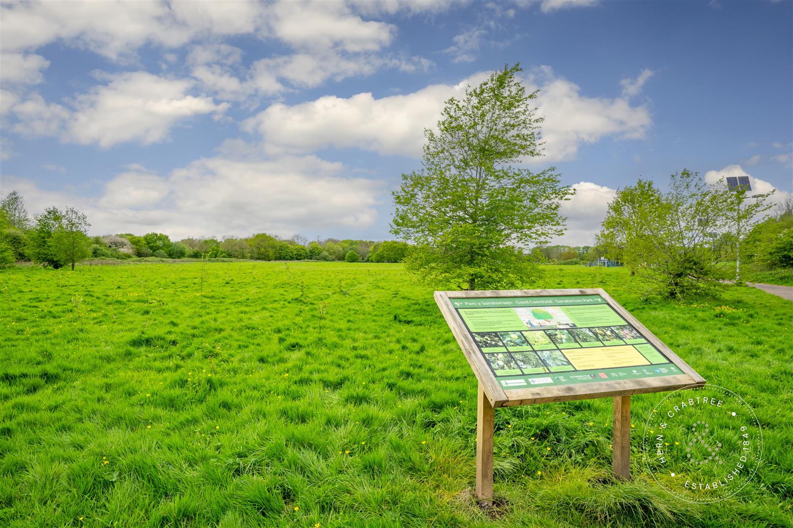 Property For Sale Verallo Drive, Canton, CF11 | 4 Bedroom House - Detached through Hern ...